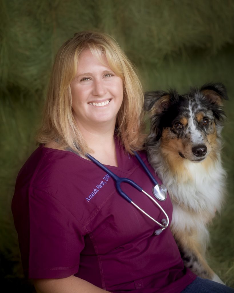 Doctor of Veterinary Medicine