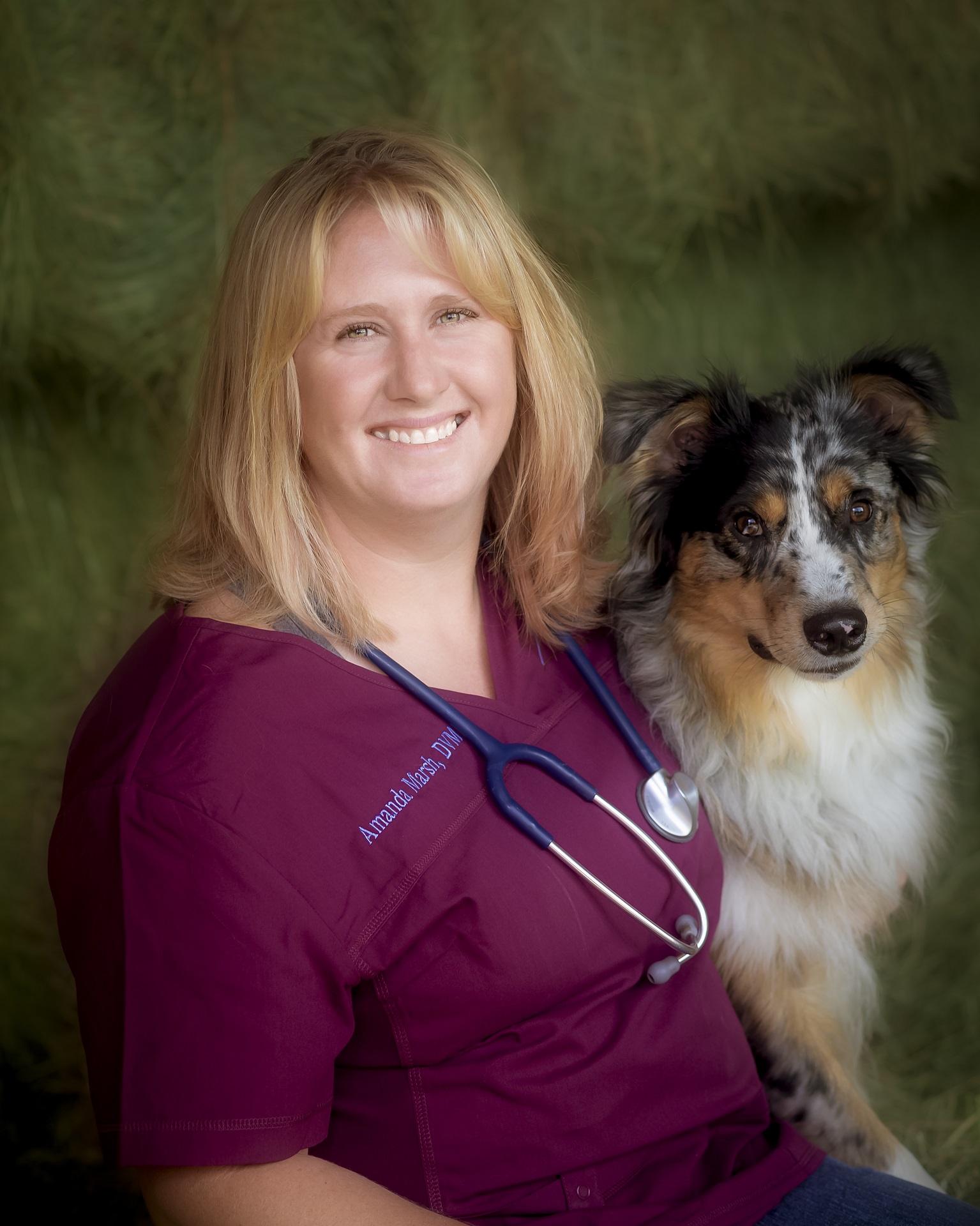 Doctor of Veterinary Medicine